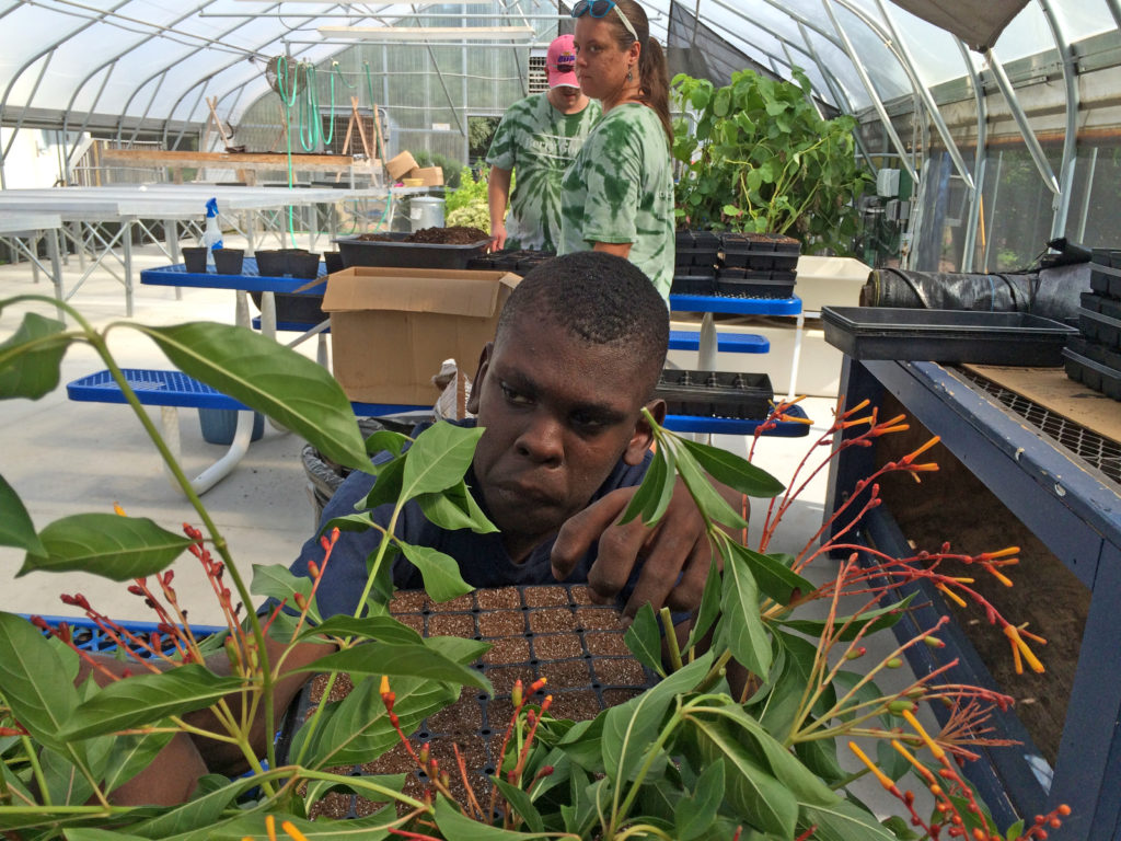 Give - Berry Good Farms