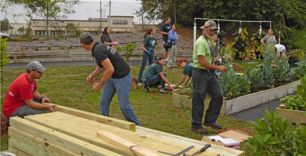 Our Farm Story - Berry Good Farms