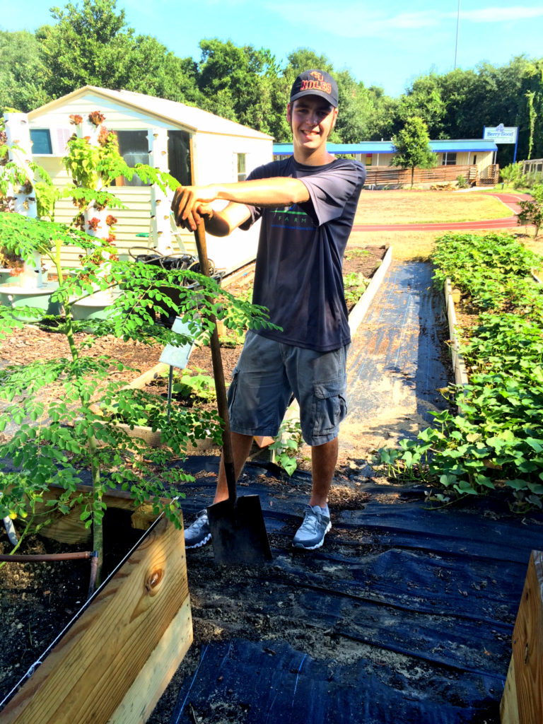 Partners - Berry Good Farms